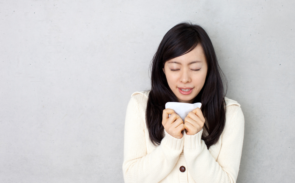 Stay Warm the Japanese Way: The Story of Hokkairo’s Global Success ...