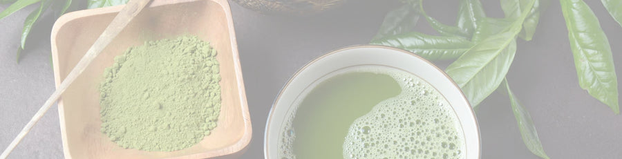 Matcha – Omakase Tokyo