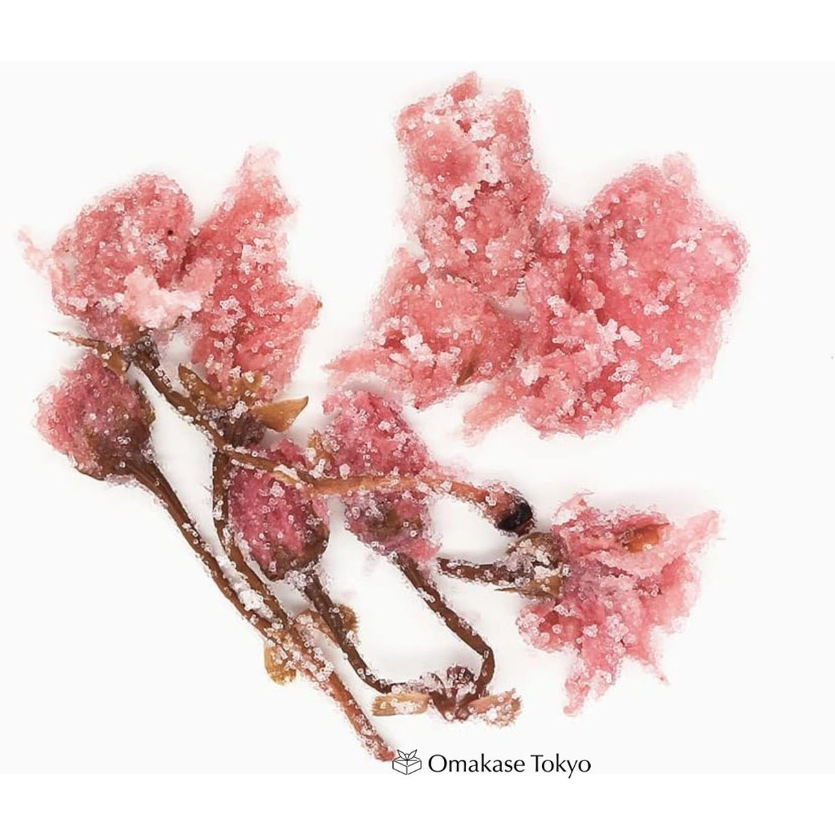 Salt Pickled Sakura Cherry Blossoms 60g – Omakase Tokyo