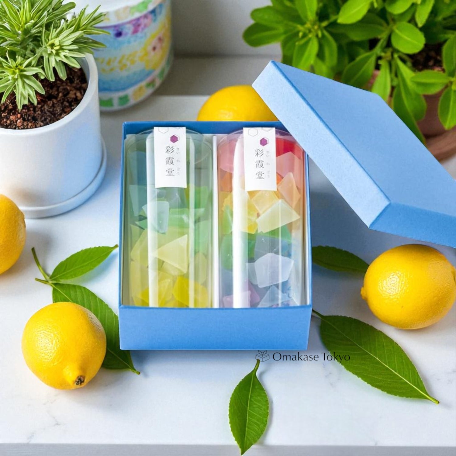 Saikadou Kohakutou Lemon Gift Box – Omakase Tokyo